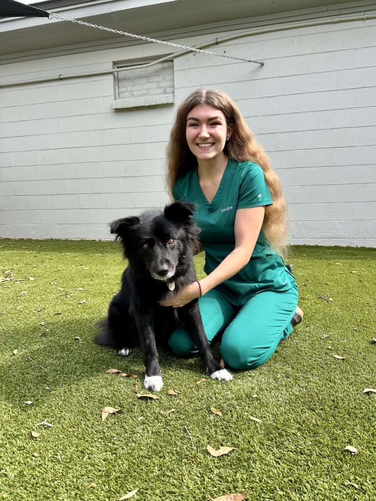 Caroline - Aztec Animal Clinic